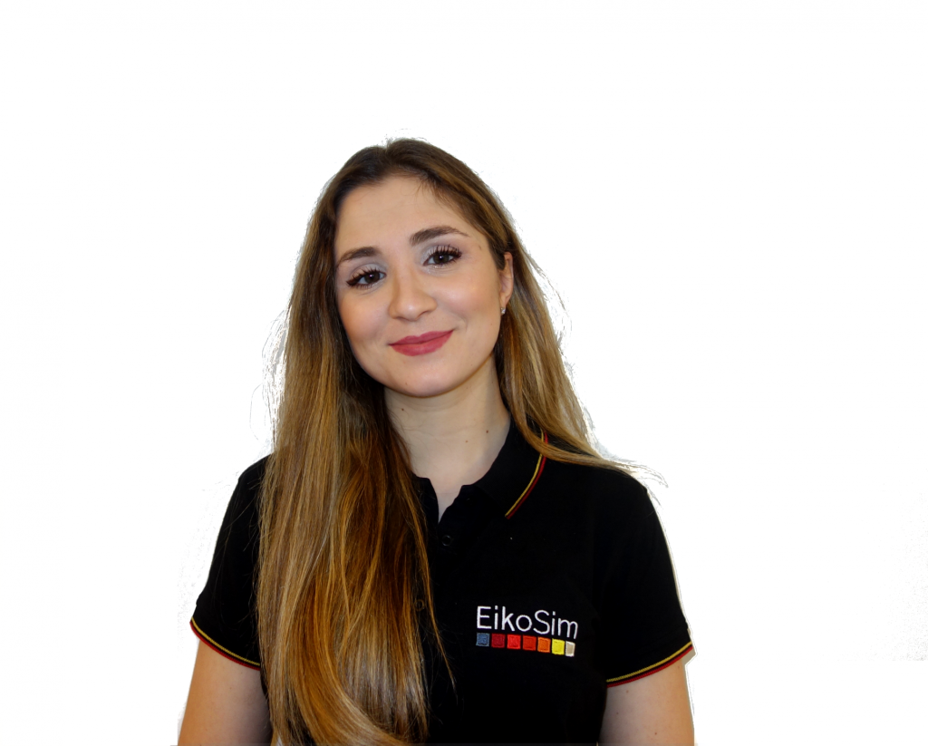 Entreprise - EikoSim